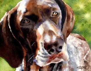 The 15 Nicest German Shorthaired Pointer Paintings - PetPress