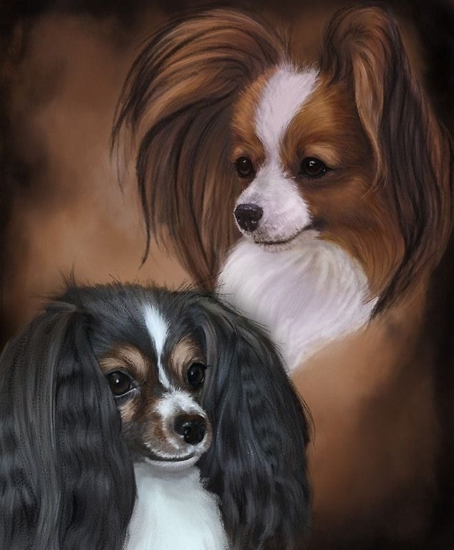 15 Papillon Pictures to Brighten Your Day - PetPress