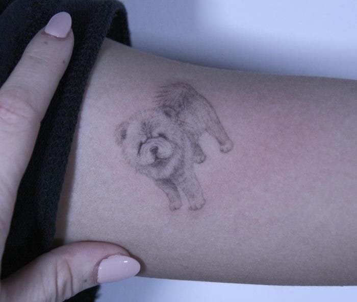 14 Best Chow Chow Tattoos That Show Your True Devotion - PetPress