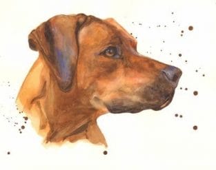 The 14 Most Creative Rhodesian Ridgeback Paintings - Page 3 of 3 - PetPress