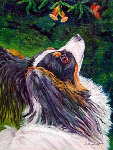 15 Papillon Pictures to Brighten Your Day - PetPress