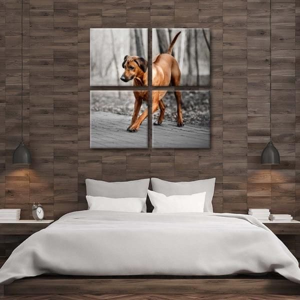 The 14 Most Creative Rhodesian Ridgeback Paintings - PetPress