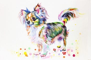 The 14 Most Colorful Papillon Paintings - PetPress