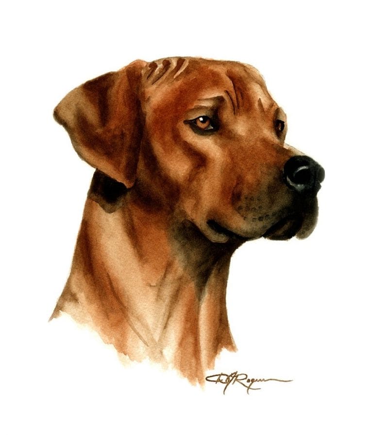 The 14 Most Creative Rhodesian Ridgeback Paintings - Page 3 of 3 - PetPress