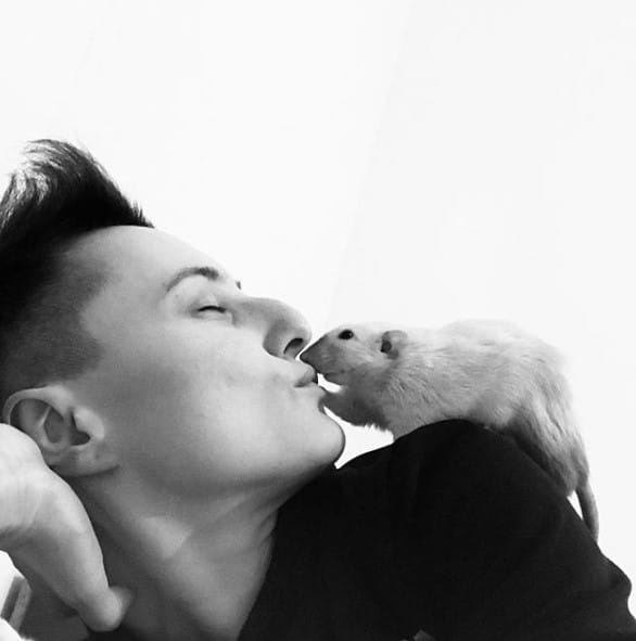 14 Rules For Keeping Fancy Rats At Home - PetPress