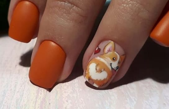 14 Ideas for Corgi Manicure Design - PetPress