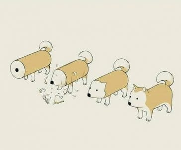 14 Funny Corgi Memes That Will Make Your Day! - PetPress