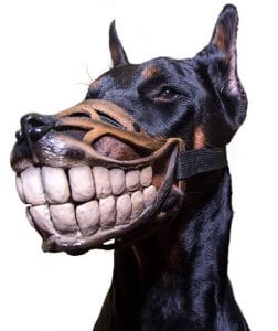 14 Amazing Halloween Costumes For Doberman Pinschers - PetPress