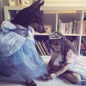 14 Amazing Halloween Costumes For Doberman Pinschers - Page 2 of 3 ...