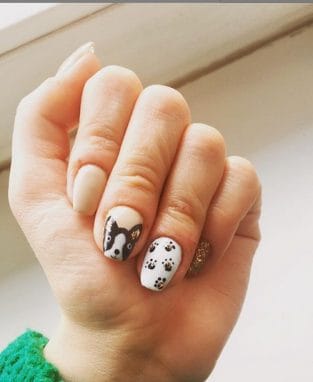14 Best French Bulldog Nail Designs 2019 - PetPress