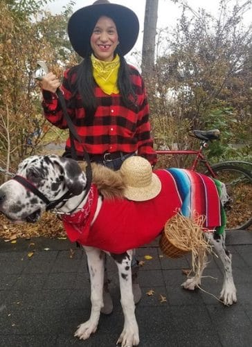 14 Funny Great Dane Costumes For Halloween 2020 - PetPress