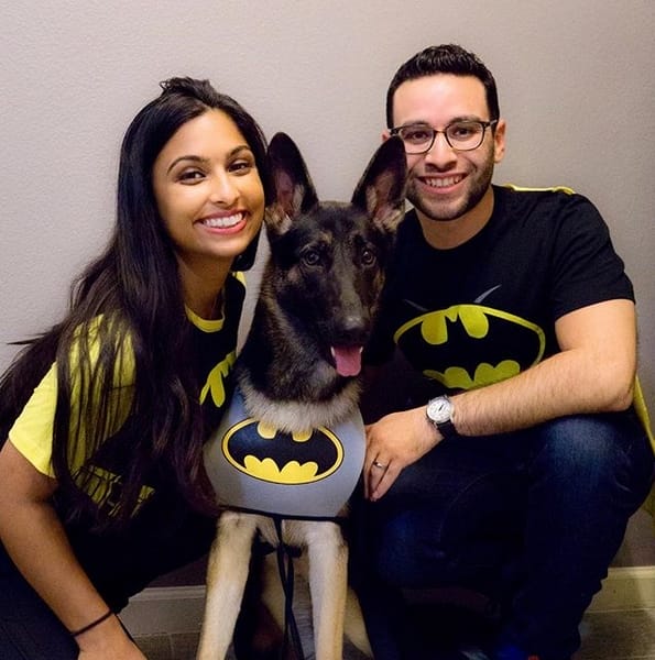 14 Popular German Shepherd Costumes for Halloween - PetPress