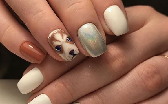 15 Best Husky Nail Designs of 2019 - PetPress