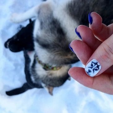 14 Husky Manicure Ideas For the True Breed Lovers - PetPress