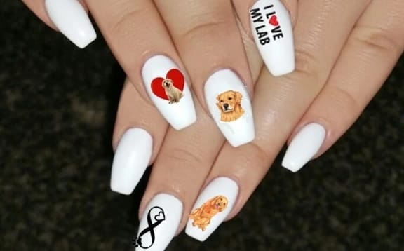 14 Best Nail Designs For Labrador Lovers - PetPress