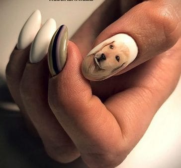 14 Best Nail Designs For Labrador Lovers - PetPress
