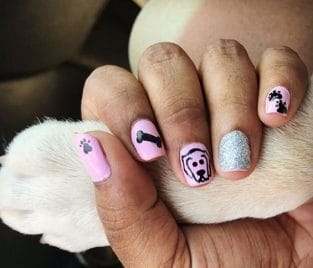 14 Best Nail Designs For Labrador Lovers - PetPress