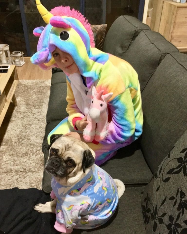 14 Reasons to Adore Pugs - PetPress