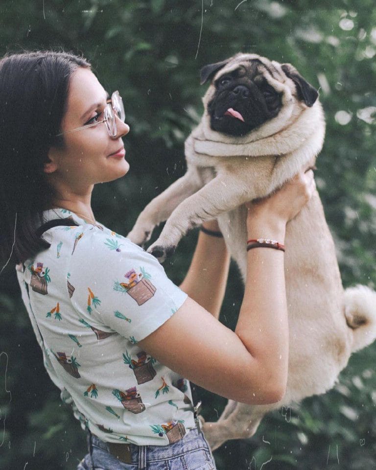 15 Reasons Why Pug Faces Are The Best - PetPress