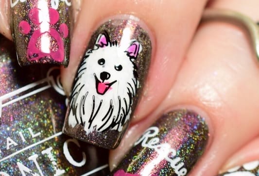 14 Samoyed Manicure Ideas For the True Lovers of the Breed - PetPress