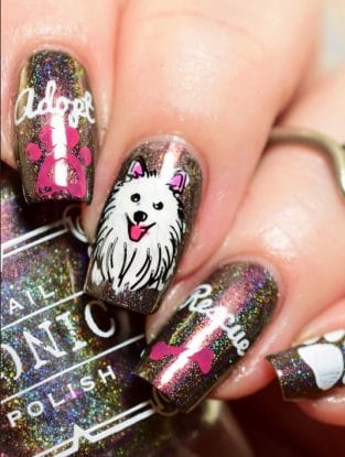 14 Samoyed Manicure Ideas For the True Lovers of the Breed - PetPress