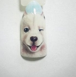 14 Samoyed Manicure Ideas For the True Lovers of the Breed - PetPress