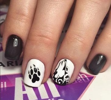 14 Samoyed Manicure Ideas For the True Lovers of the Breed - PetPress
