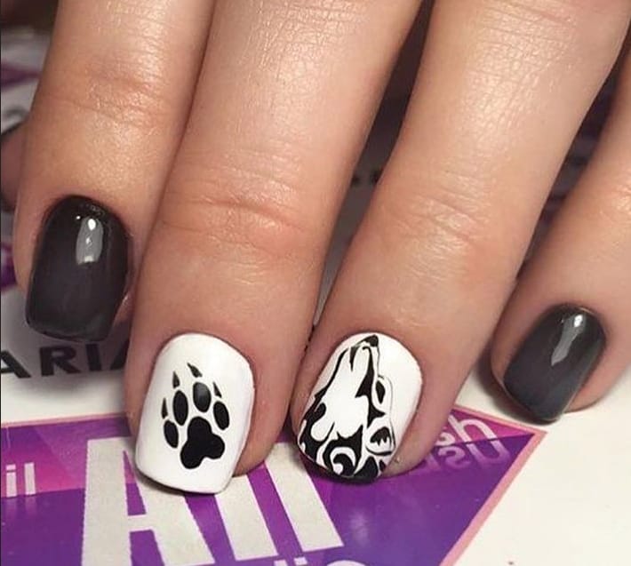 14 Samoyed Manicure Ideas For the True Lovers of the Breed - PetPress