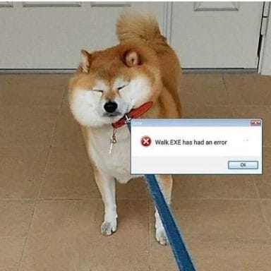 14 Smiles Of Shiba Inu To Make You Smile - PetPress