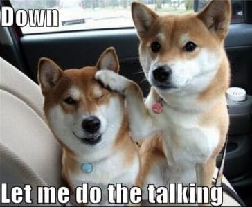 15 Best Shiba Inu Memes - Page 3 of 3 - PetPress
