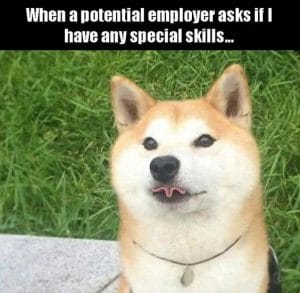 15 Best Shiba Inu Memes - PetPress