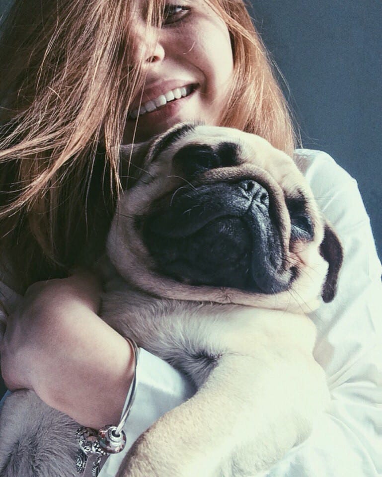 11 Reasons Why You Should Cuddle Your Pug More Often - PetPress