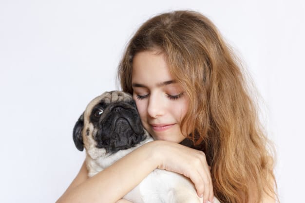 11 Reasons Why You Should Cuddle Your Pug More Often - PetPress