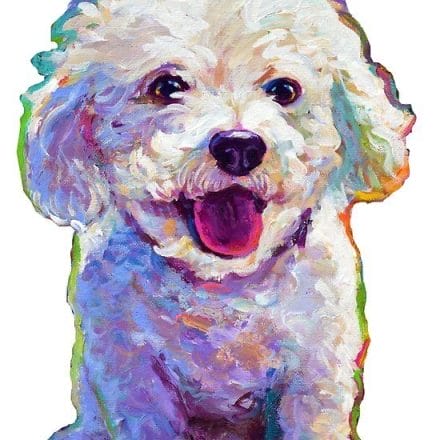 14 Colorful Bichon Frise Drawings - PetPress