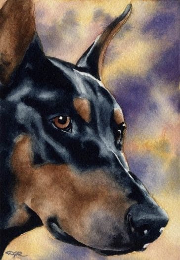 14 Doberman Pictures to Brighten Your Day - Page 2 of 3 - PetPress