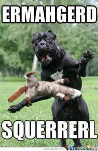 14 Mastiff Memes That Will Make Your Day - Page 3 of 3 - PetPress