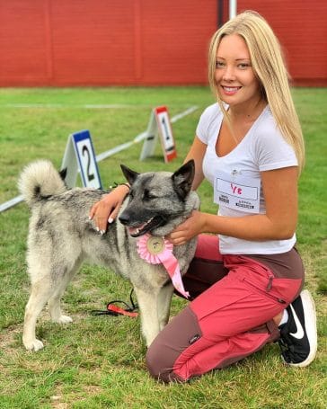 14 Things You Didn’t Know About the Norwegian Elkhound - PetPress