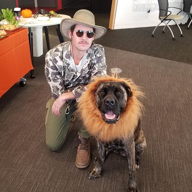 14 Facts About the Mastiff You Should Care About - Page 2 of 3 - PetPress