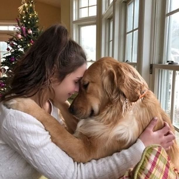 14 Friendly Facts About Labrador Retrievers - PetPress