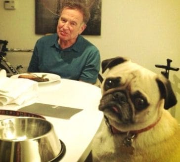 12 Celebrities Who Own Pugs - PetPress