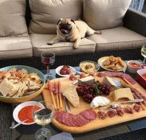 14 Facts That Prove Pugs are The Best Dogs Ever - PetPress