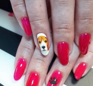 14 Manicure Designs For Beagle Lovers - PetPress