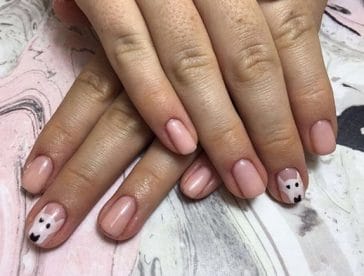 14 Nail Arts For Bull Terrier Owners - PetPress