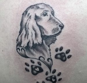14 Memorial Tattoo Ideas For Cocker Spaniel Owners - PetPress