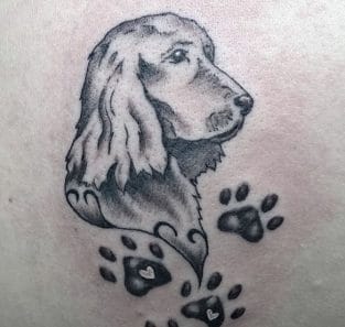 14 Memorial Tattoo Ideas For Cocker Spaniel Owners - PetPress