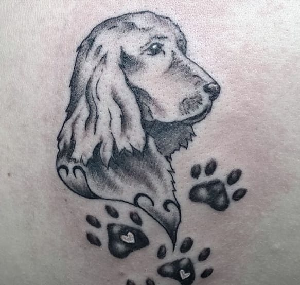 14 Memorial Tattoo Ideas For Cocker Spaniel Owners - PetPress