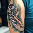 33 Coolest Python Tattoo Designs - PetPress