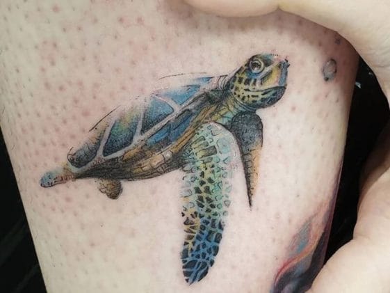 Top 60 Best Turtle Tattoo Designs - PetPress