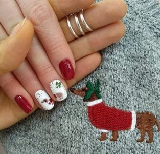 14 Best Nail Arts For Dachshund Lovers - PetPress