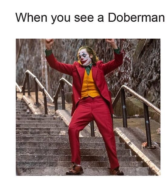 The 14 Funniest Memes That You Must Show to Your Friends Who Own ...